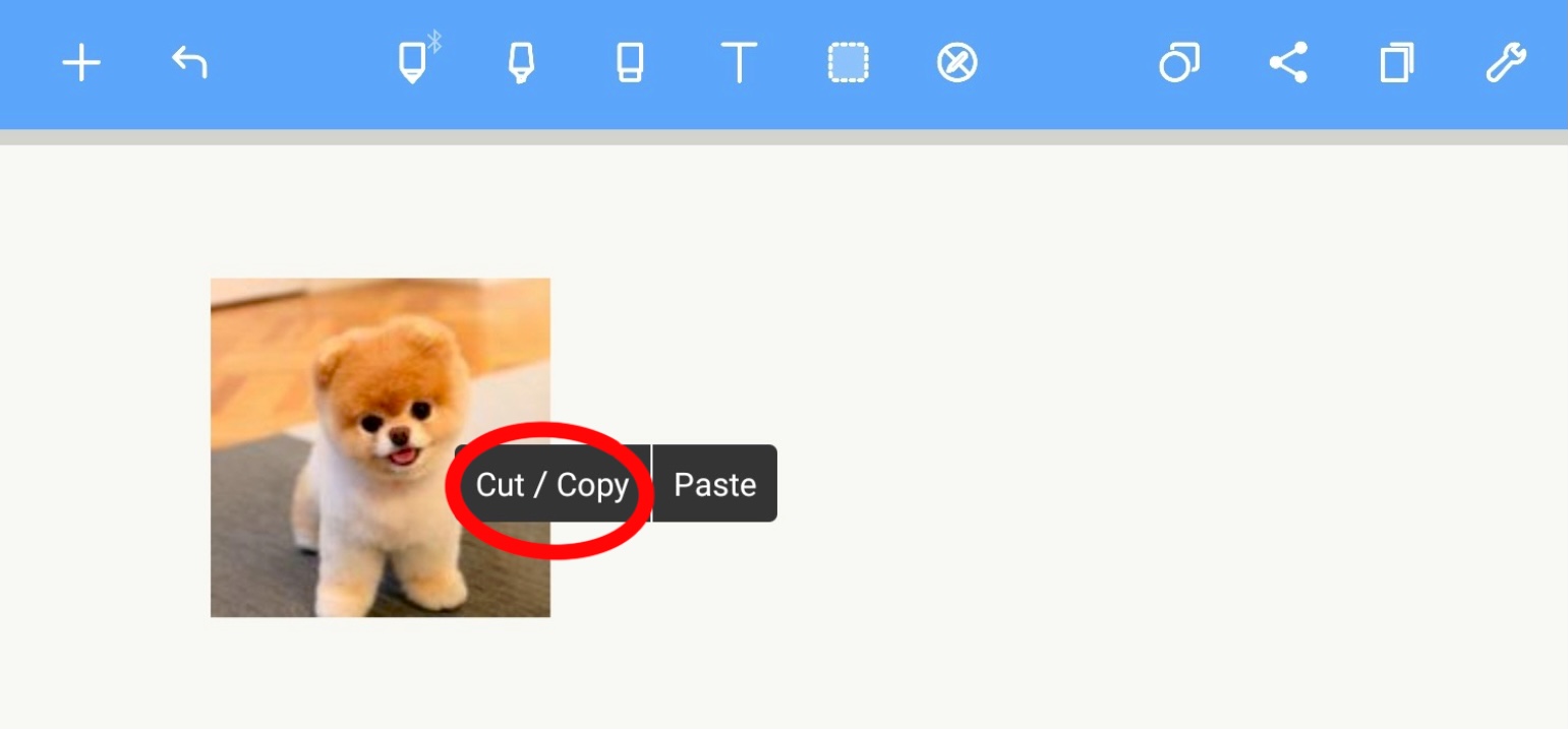 How To Copy paste Image From One Page To Another Noteshelf Support